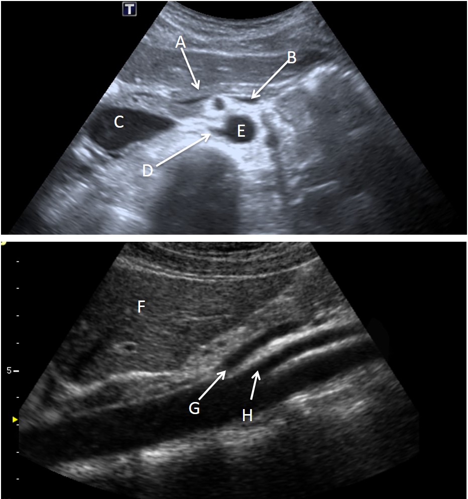 Quiz 10 – Radiology Cases Quiz 10 – Radiology Cases